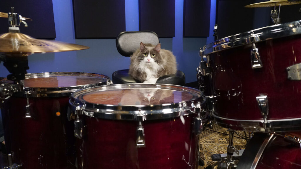 10 Things Drummers Learned In 2020 - Drumeo Beat